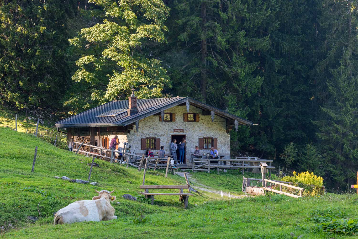 Die schönsten Almwanderungen - Achental | Ferienregion Chiemsee-Chiemgau