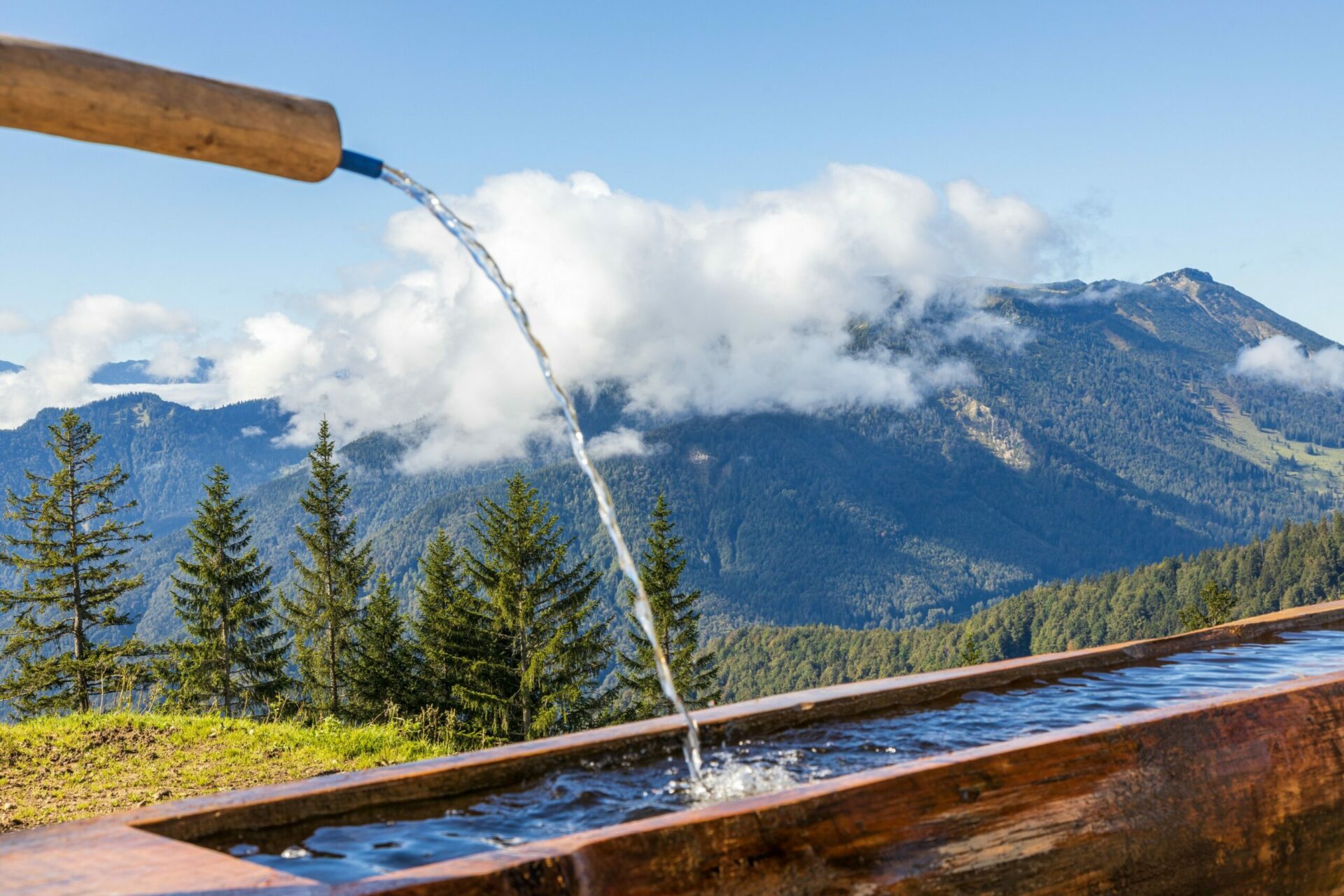 Almwanderung Oberauerbrunst-Alm, Piesenhausener Hochalm, Sonnenalm ...