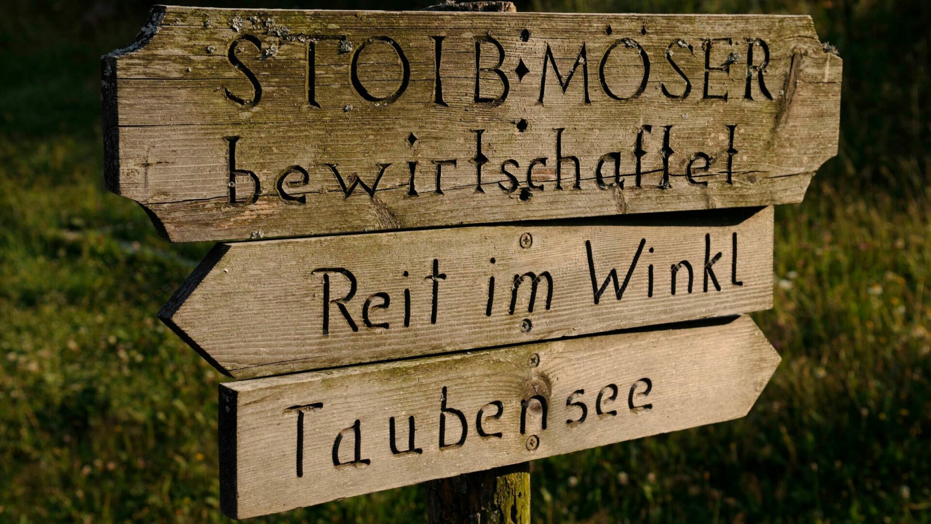 Taubensee Rundweg - Festsaal - Achental | Ferienregion Chiemsee-Chiemgau