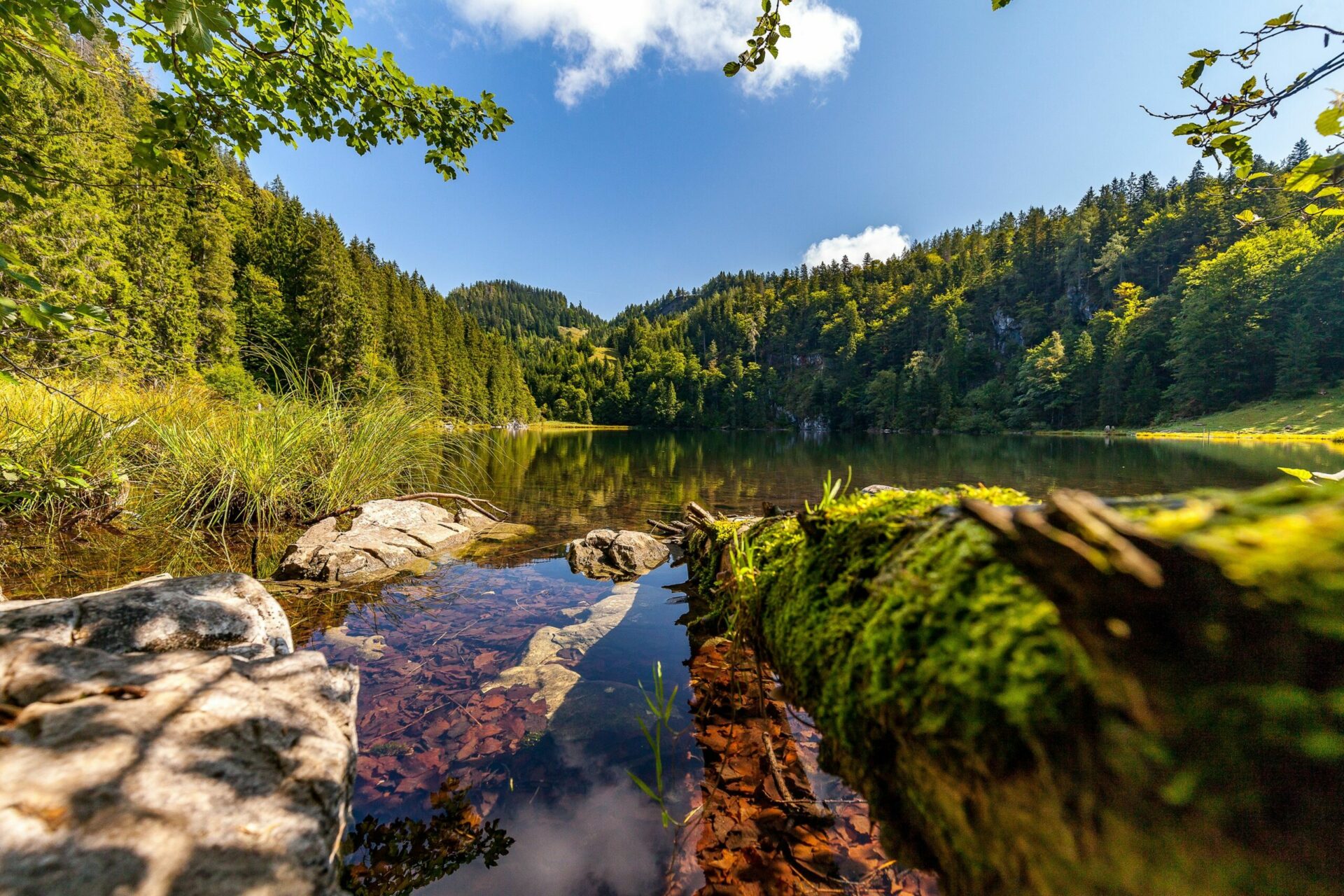 Taubensee Rundweg - Festsaal - Achental | Ferienregion Chiemsee-Chiemgau