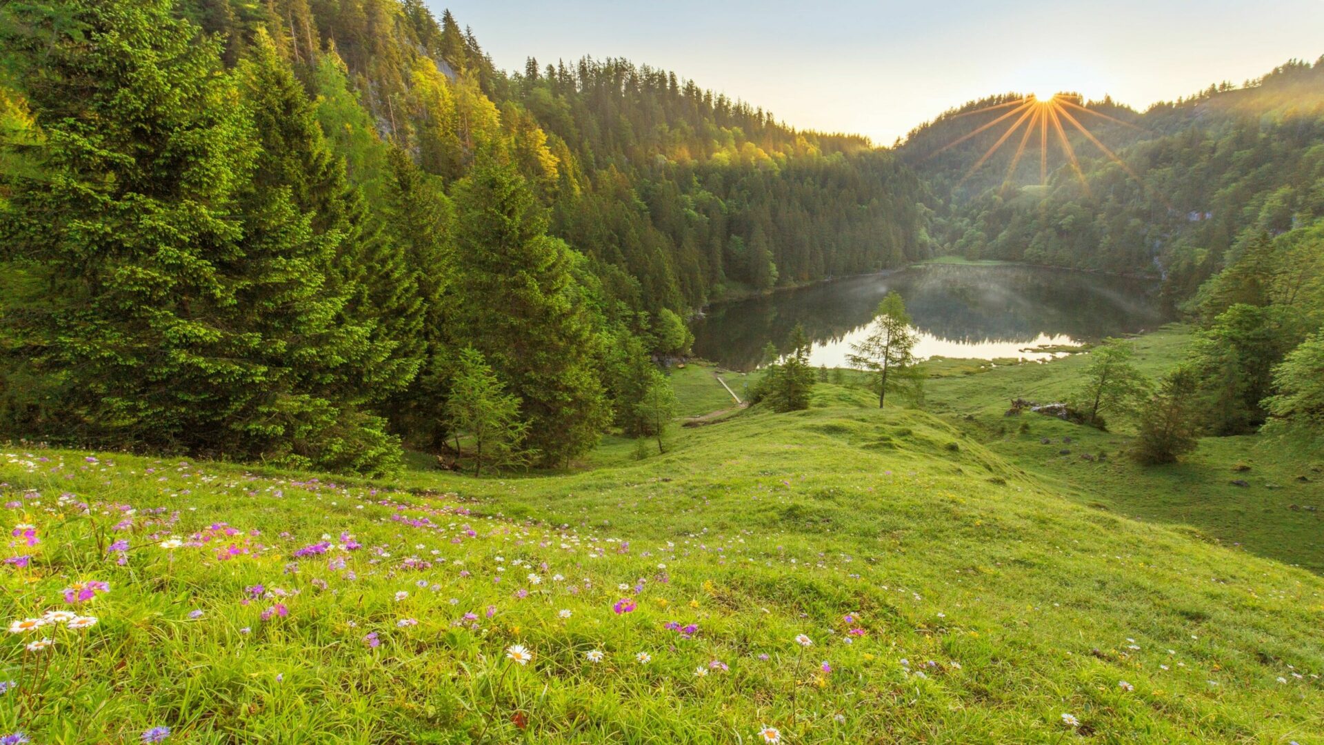 Taubensee Rundweg - Festsaal - Achental | Ferienregion Chiemsee-Chiemgau
