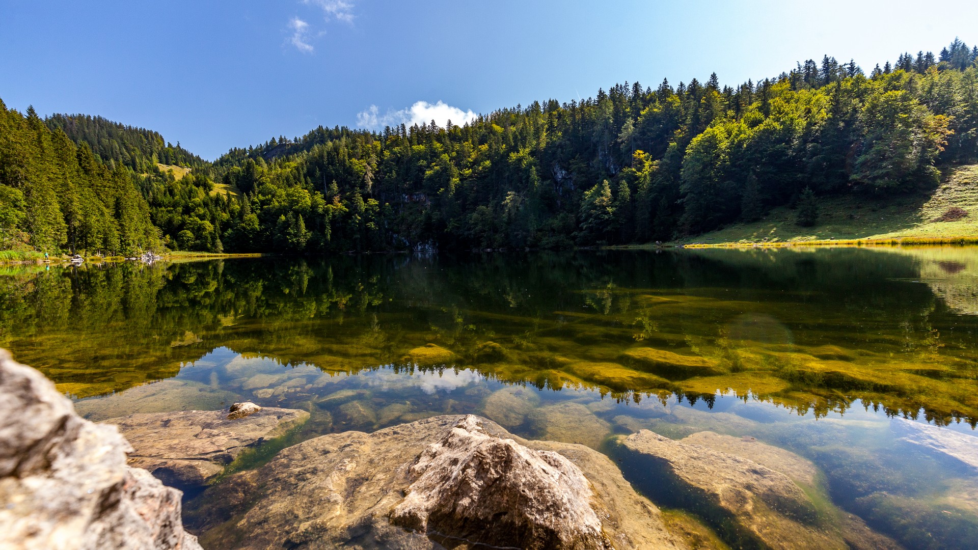 Taubensee Rundweg - Achental | Ferienregion Chiemsee-Chiemgau